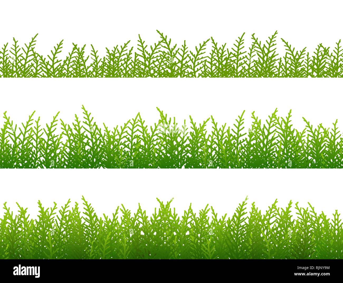 set of grass seamless border Stock Vector Image & Art - Alamy