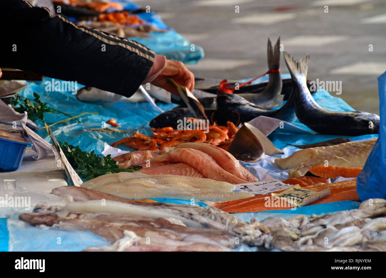 Fresh fish at a fish market in Nice, France Stock Photo - Alamy