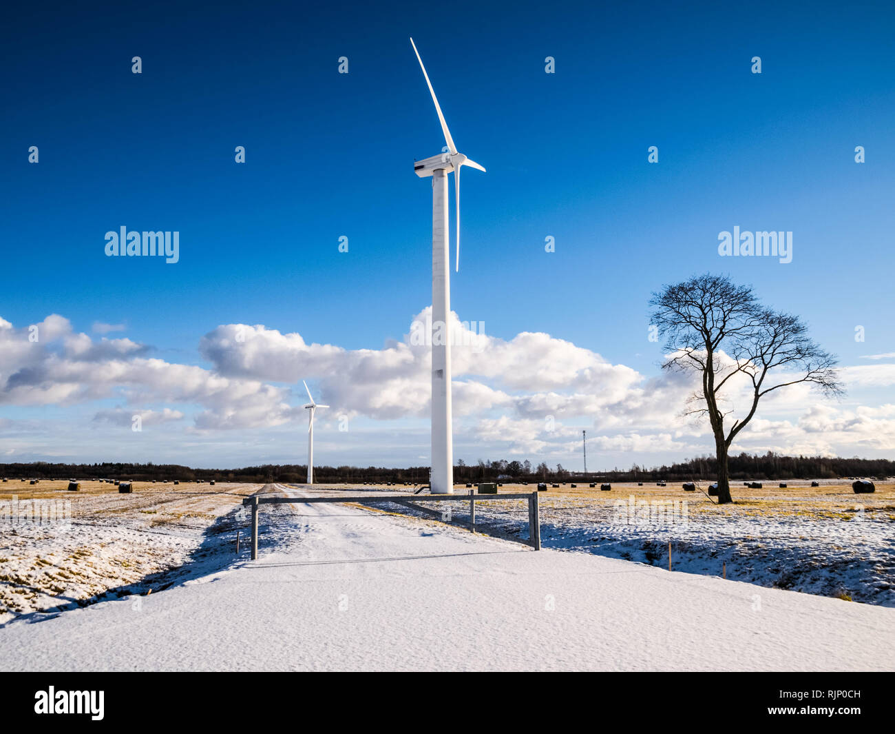 Wind turbine for the extraction of electricity from the wind. Two wind ...
