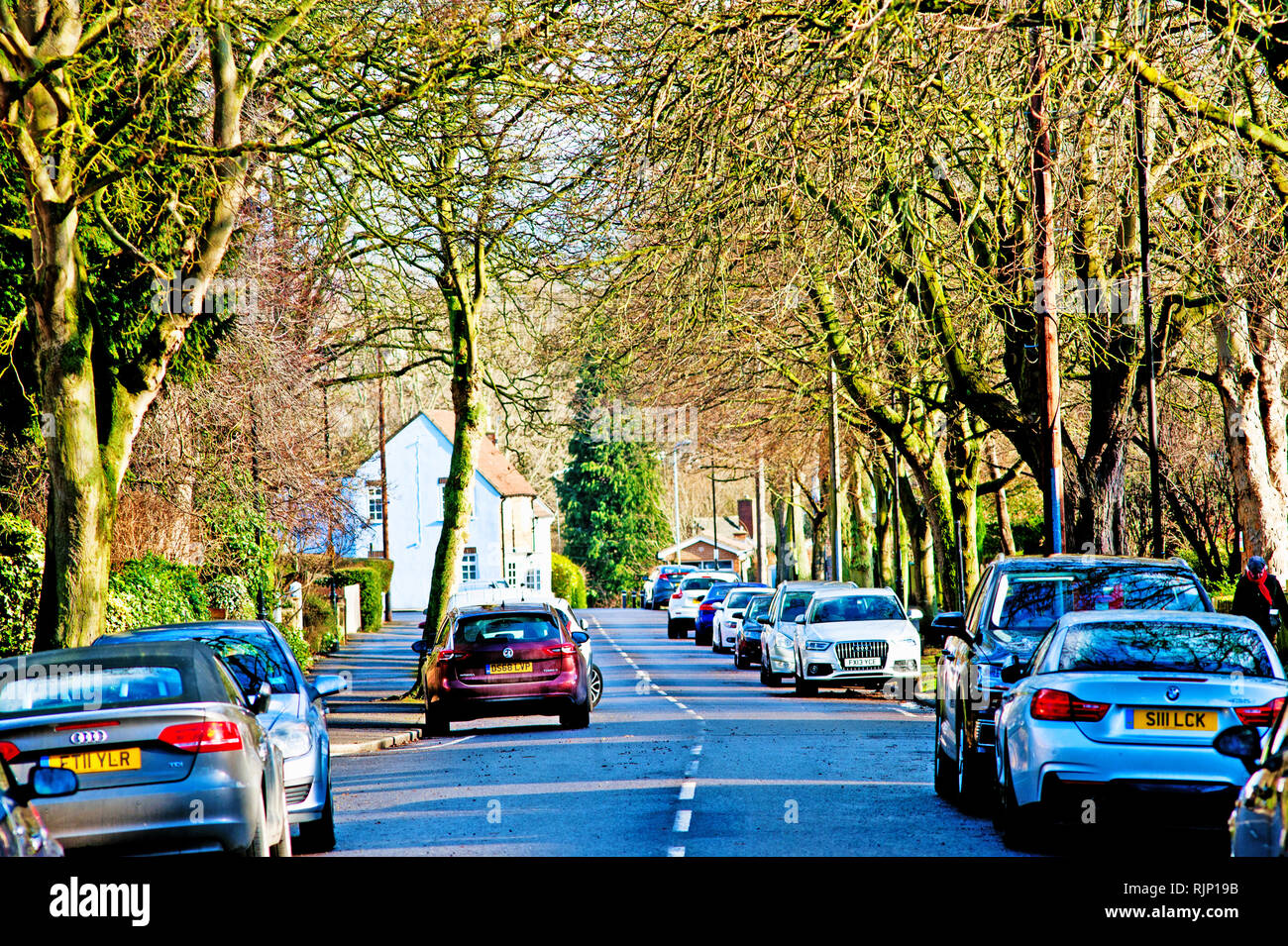 Hartburn village hi-res stock photography and images - Alamy