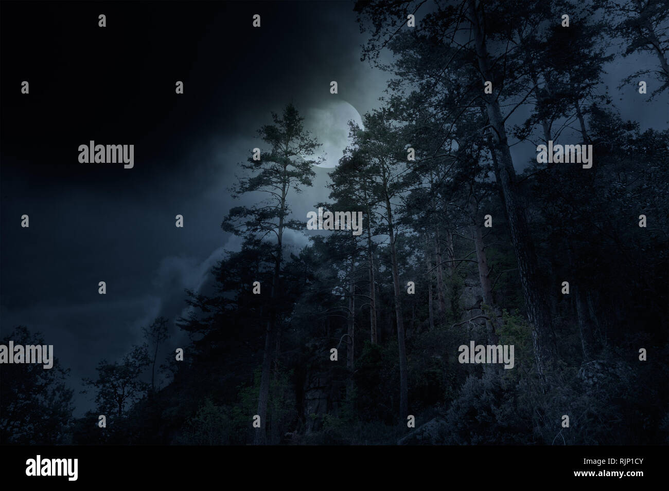 Woods fog moon hi-res stock photography and images - Alamy