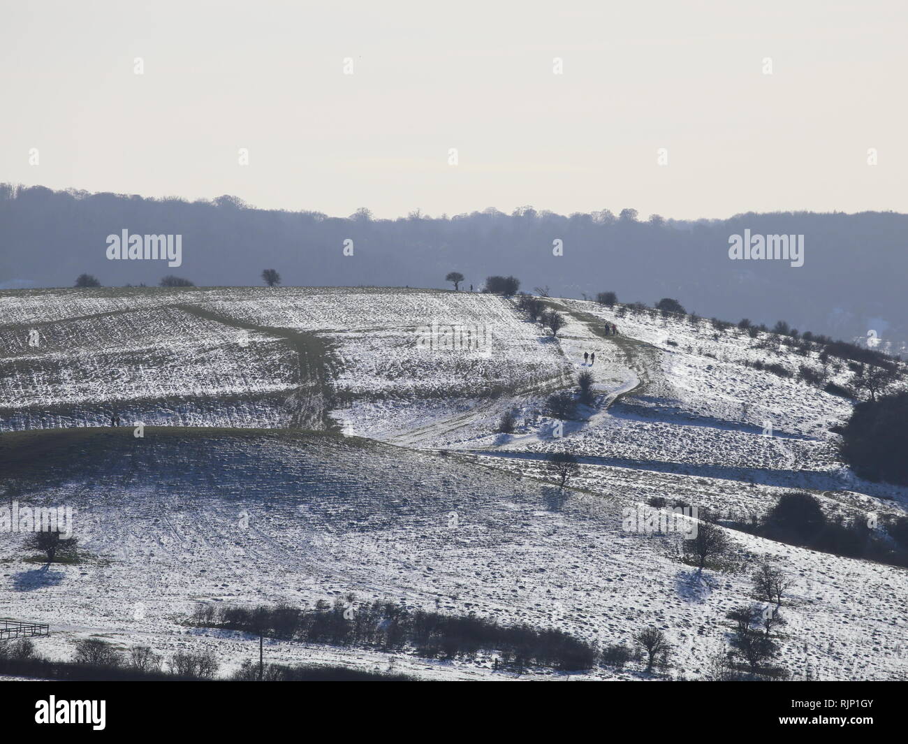 Chiltern Hills in winter, view from Ivinghoe, Buckinghamshire, England ...