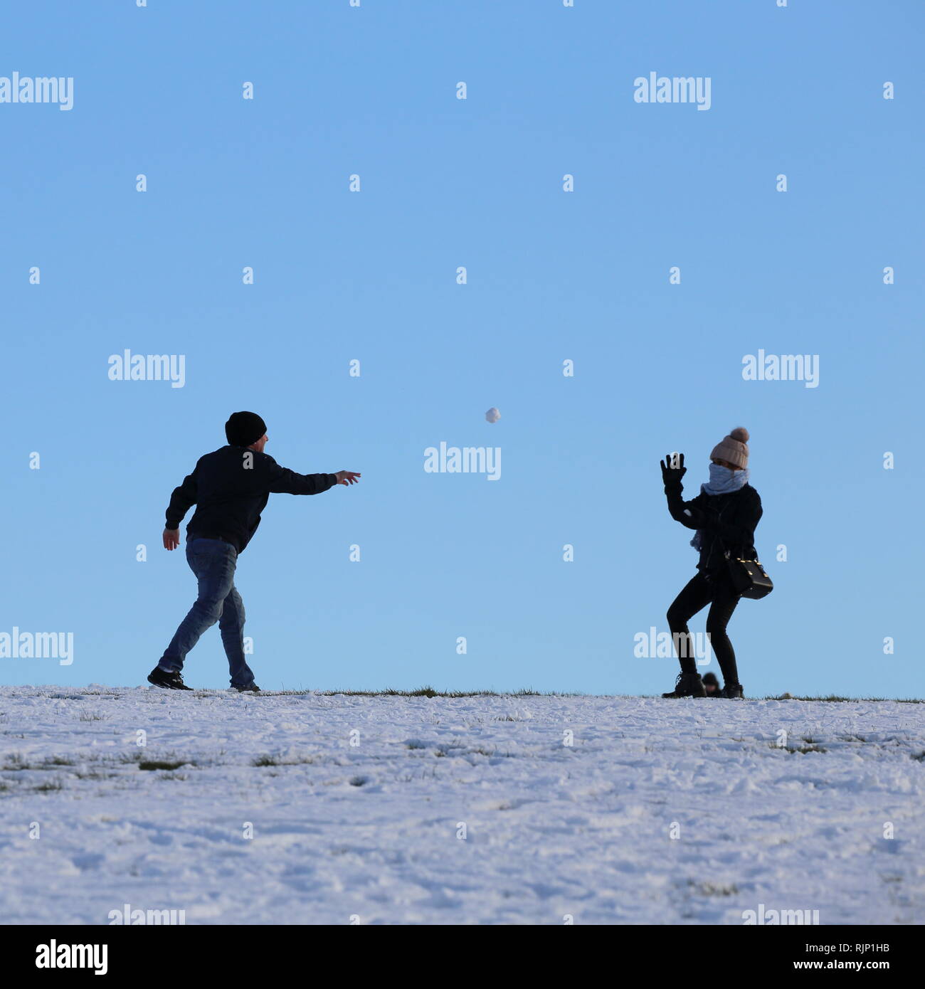 snow ball fight Stock Photo - Alamy