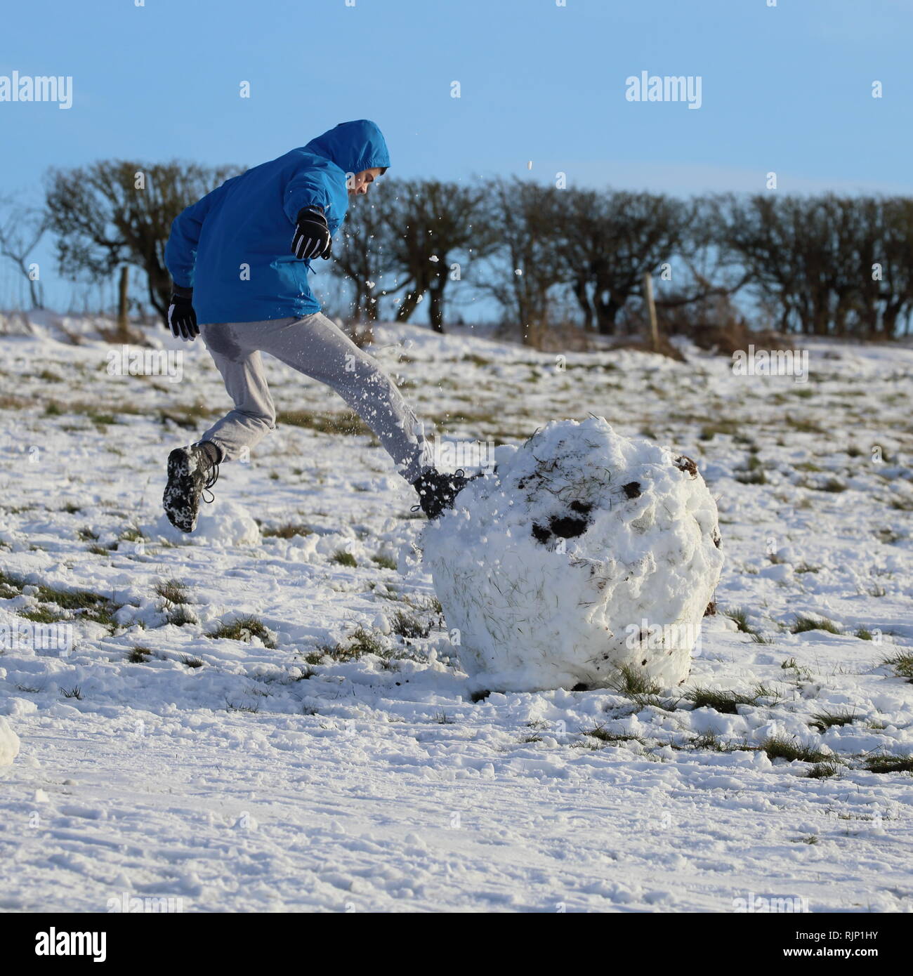 boy kicking large snow ball on Dunstable downs, Bedfordshire, England ...