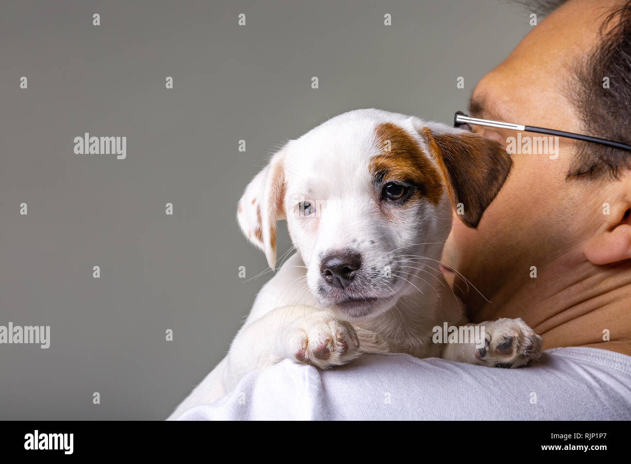 Horizontal portrait of handsome cheerful man holds jack russell ...