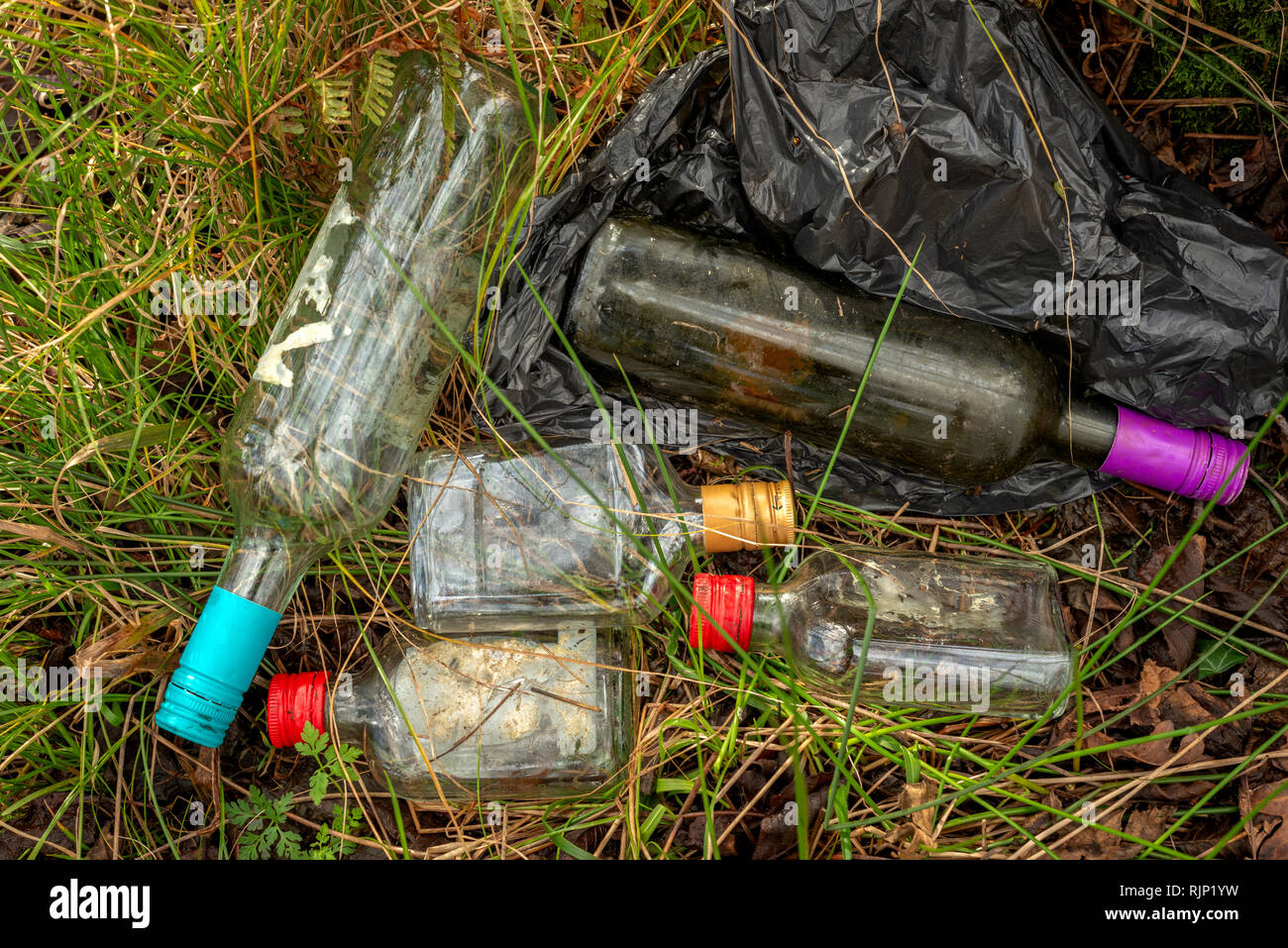 Dumped glass bottles hi-res stock photography and images - Alamy