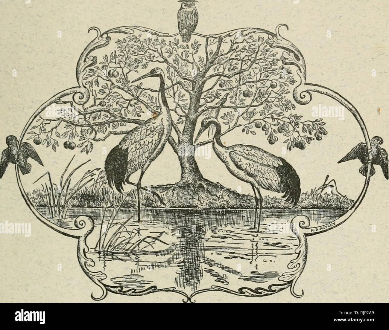 Trevor lawrence photos hi-res stock photography and images - Alamy