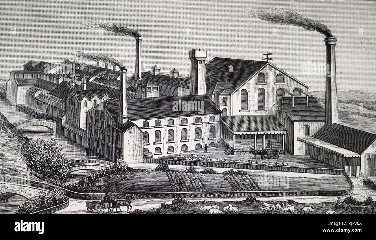 An engraving depicting the Thomas Harris & Sons bacon factory, Cane ...