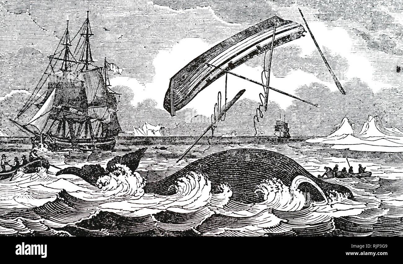 Whaling In Colonial America