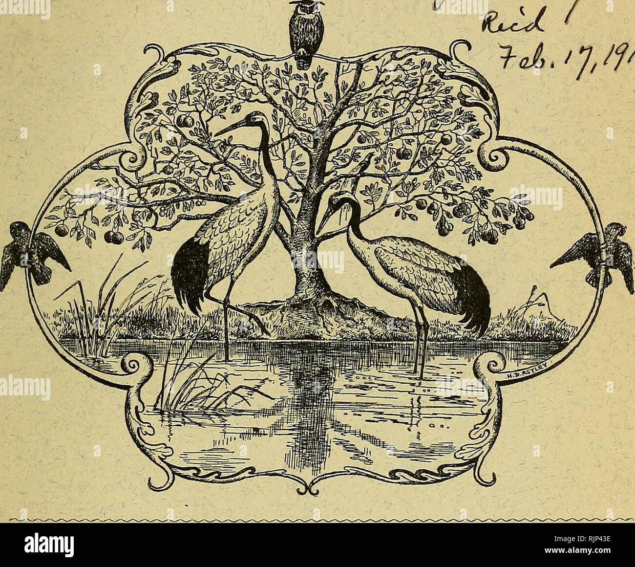 . The Avicultural magazine. Birds; Cage birds. CONTENTS. My Humming ...