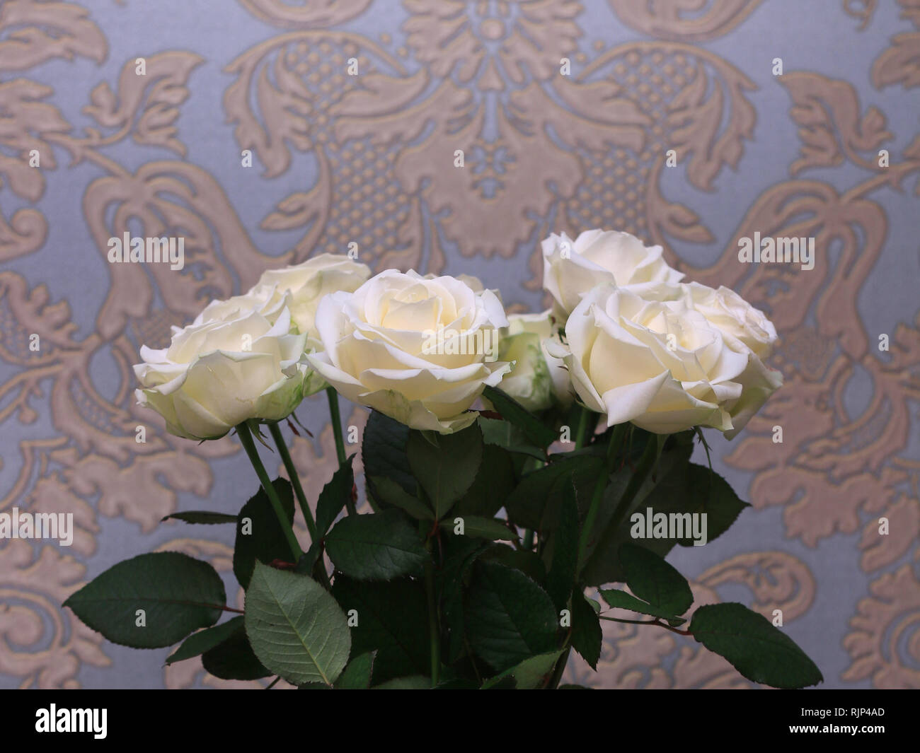 Bouquet of fresh white roses Stock Photo - Alamy