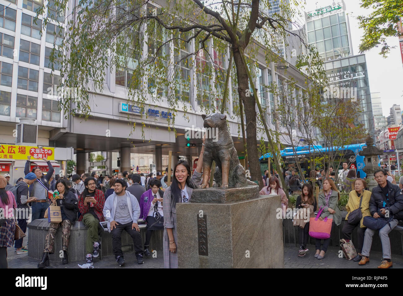Bronze statue of Akita dog Hachiko at Shibuya station Tokyo , Japan ...