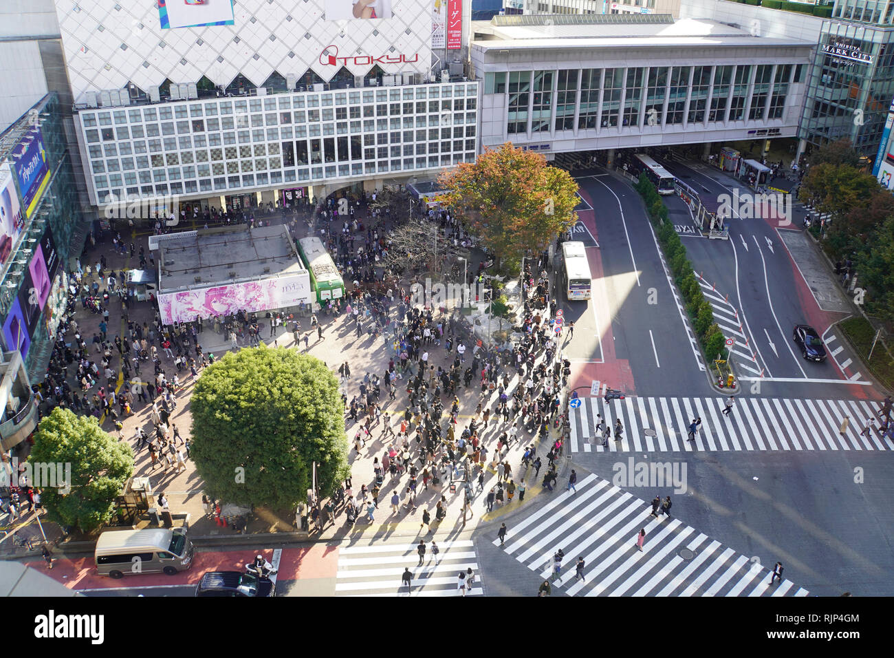 Elevated view of a crowed of pedestrians crossing a four way zebra ...