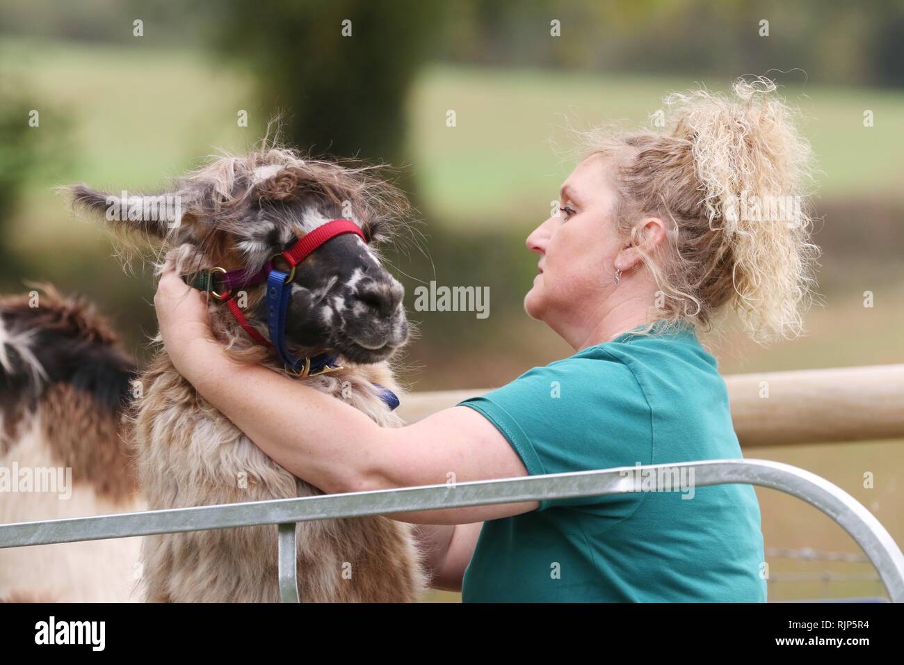 Lisa fox hi-res stock photography and images - Alamy