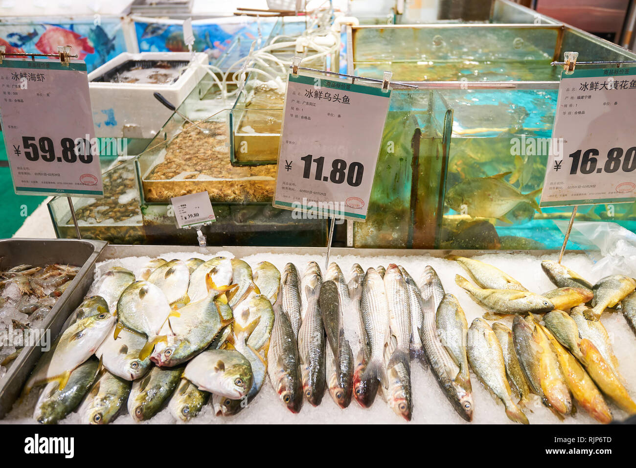 SHENZHEN, CHINA - FEBRUARY 05, 2016: fresh fish at JUSCO store. JUSCO ...
