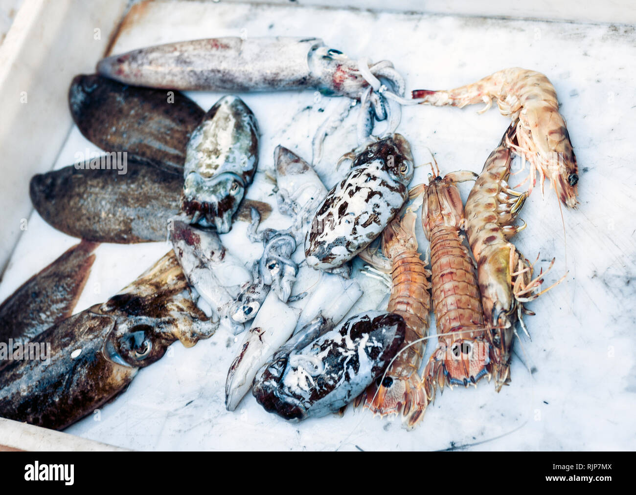 Fresh fish and seafood for sale in the fish market of Catania, Sicily ...
