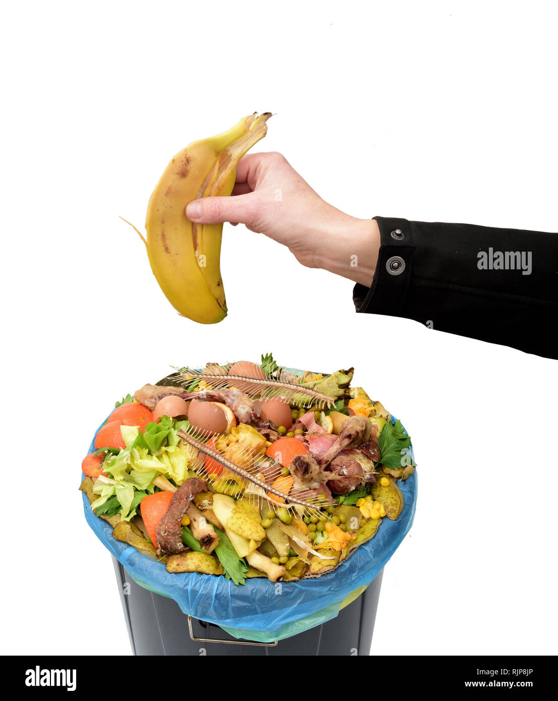 recycling organic on white background Stock Photo - Alamy