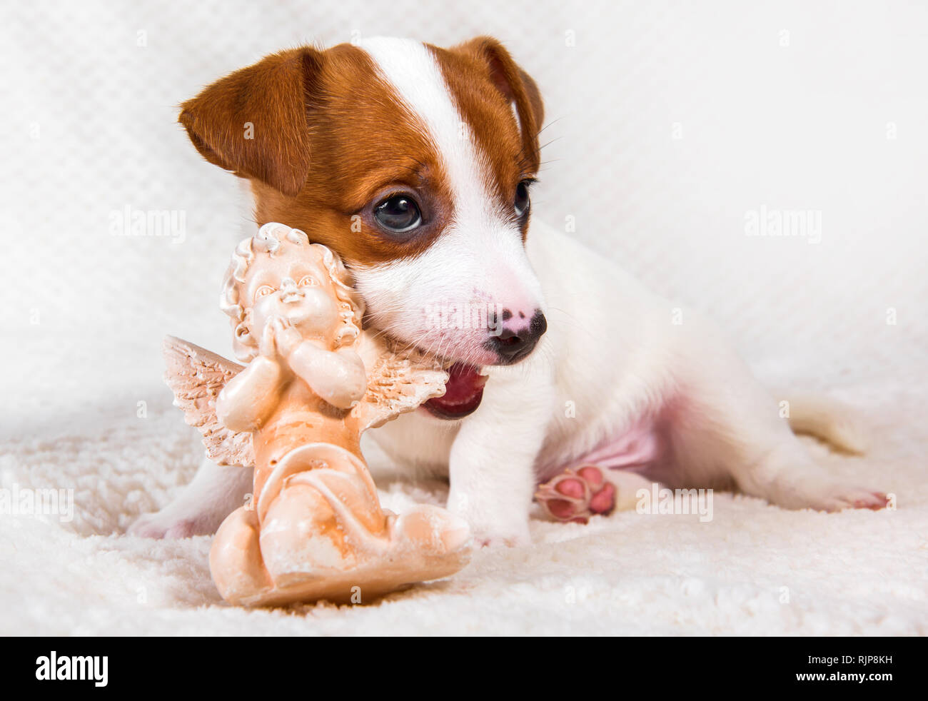 Humor angel hi-res stock photography and images - Alamy