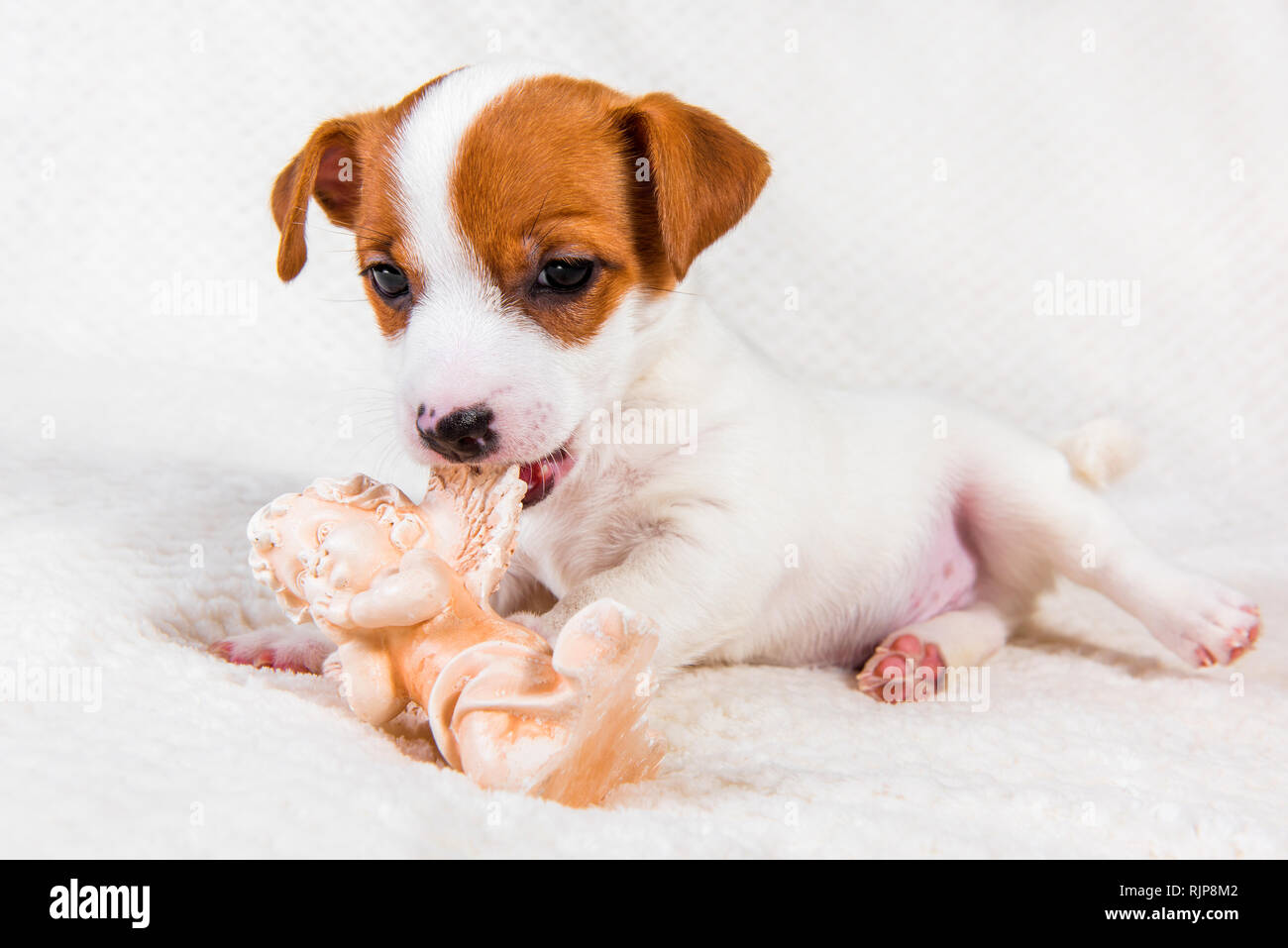 Humor angel hi-res stock photography and images - Alamy