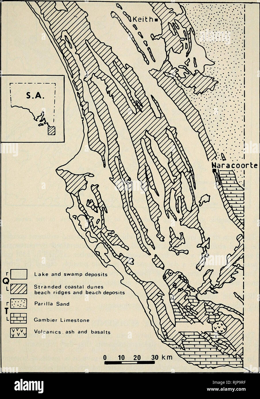 Victoria fossil cave, australia hi-res stock photography and images - Alamy