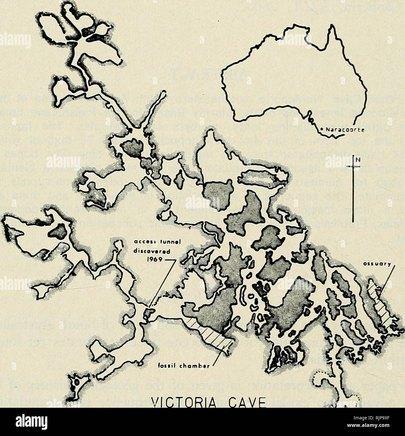 . The Australian zoologist. Zoology; Zoology; Zoology. R. T. WELLS, K ...