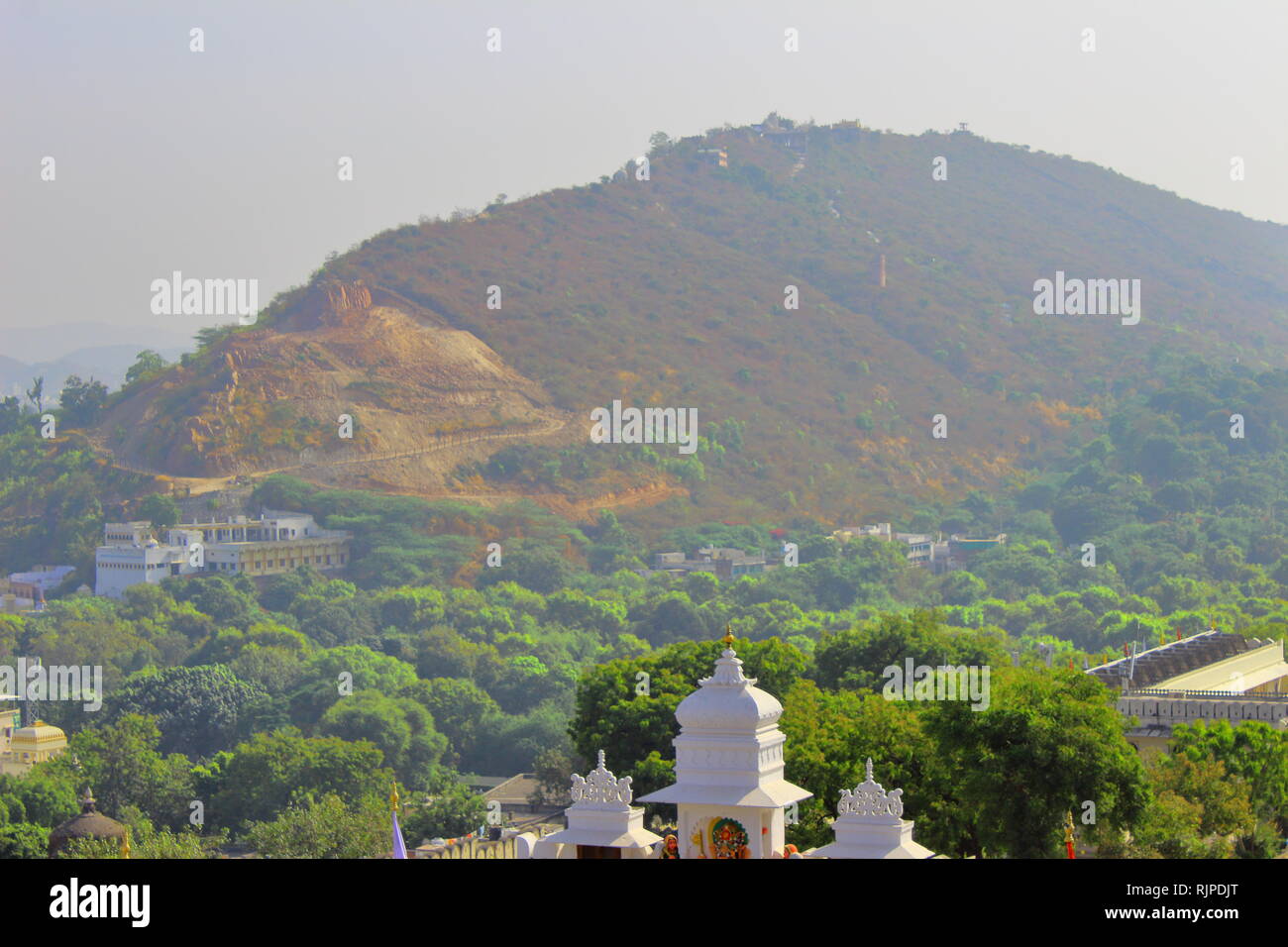 Beautiful place as landscape with green trees Stock Photo - Alamy