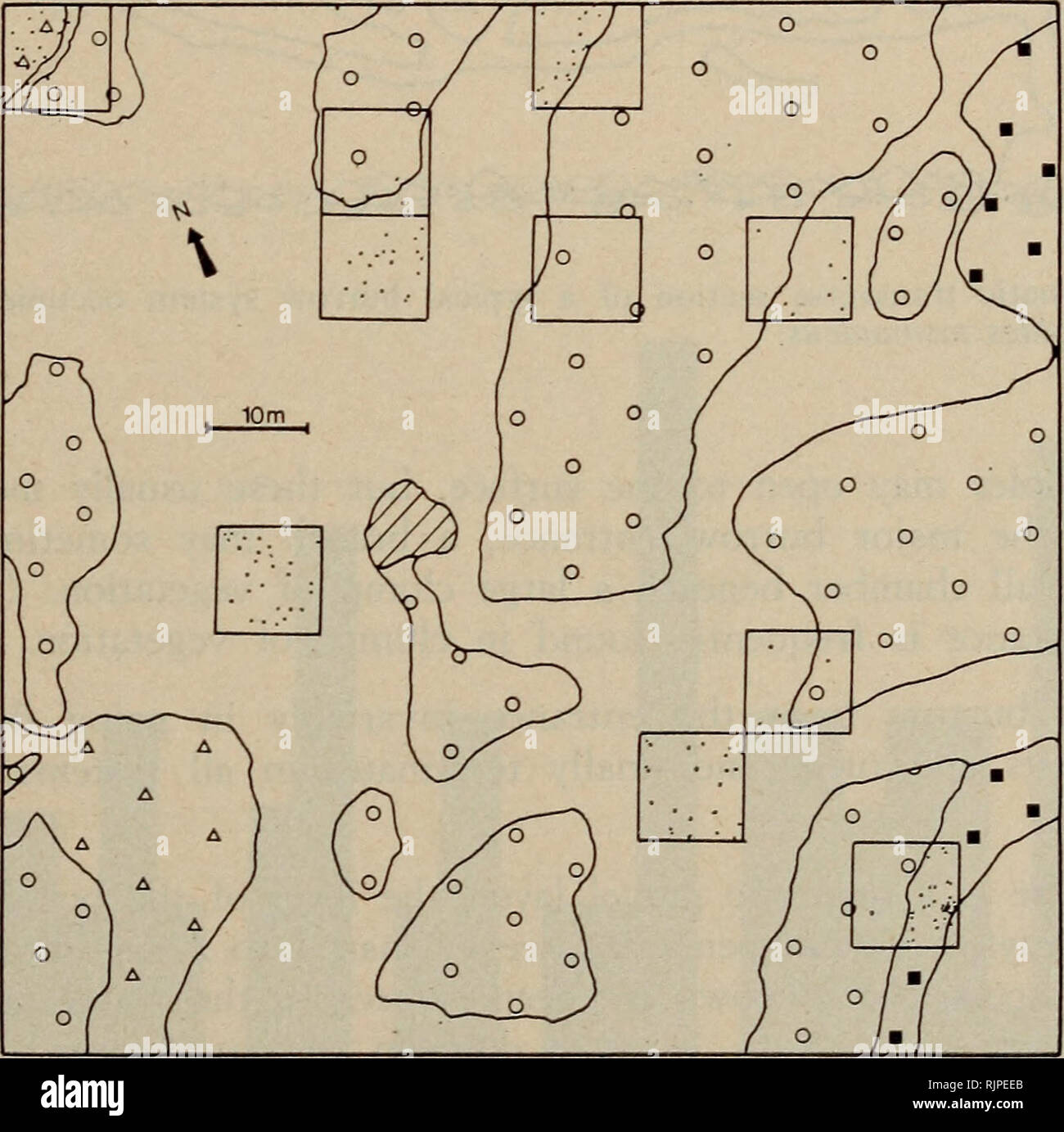 Crayfish burrows hi-res stock photography and images - Alamy