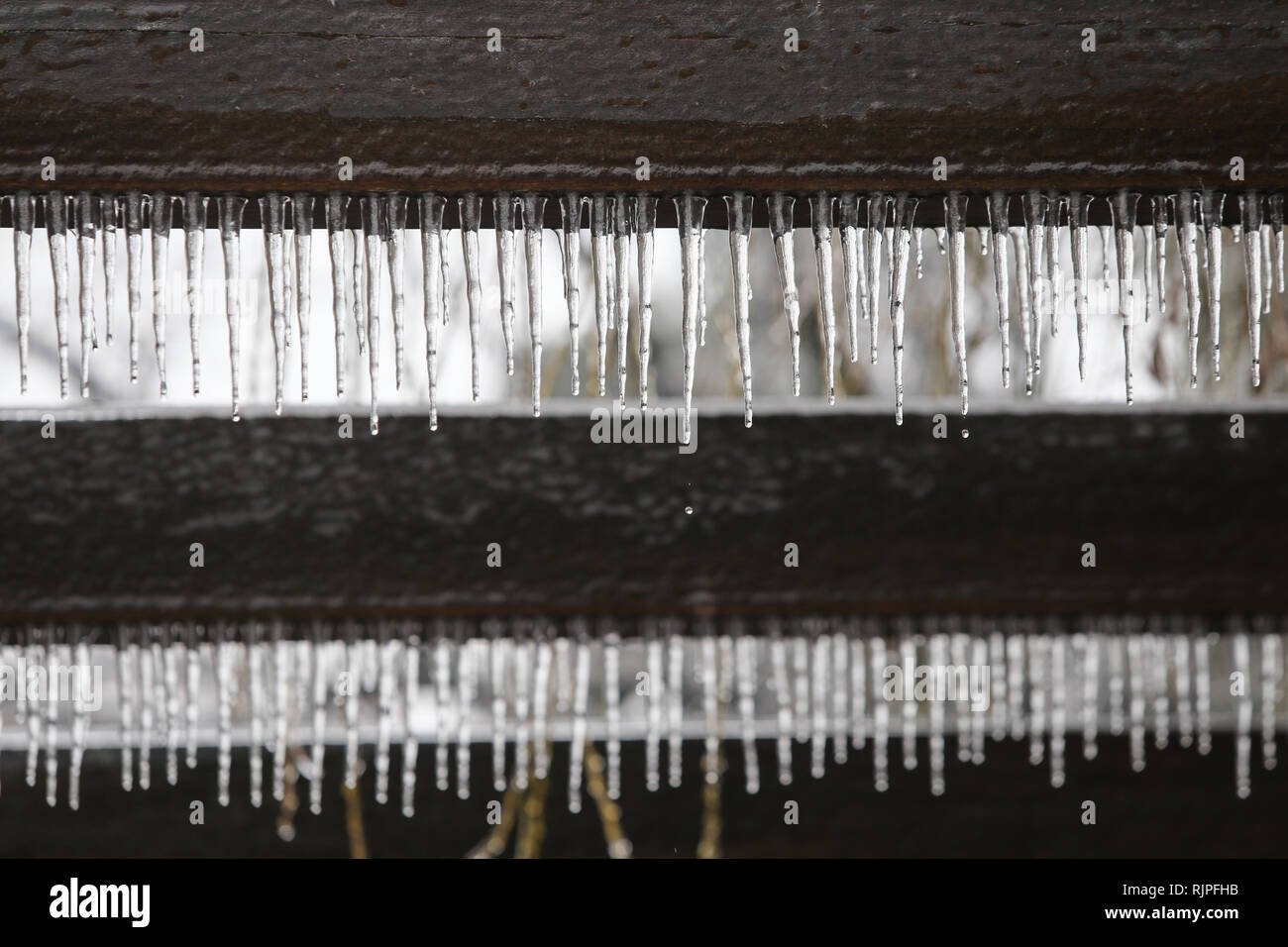 Hanging icicles after a freezing rain weather phenomenon Stock Photo ...