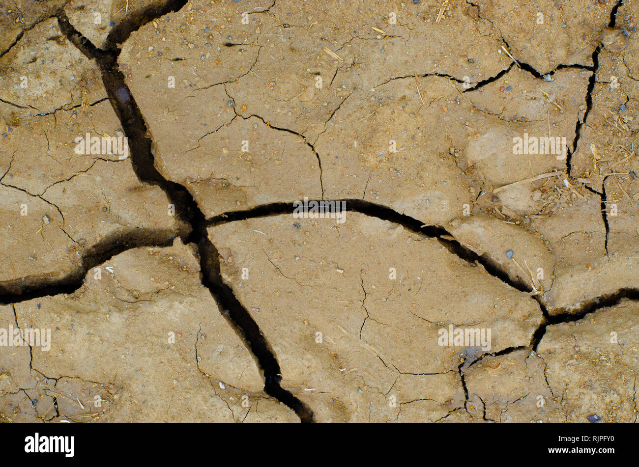 Cracks and fissures in the dry earth create beautiful, richly textured ...