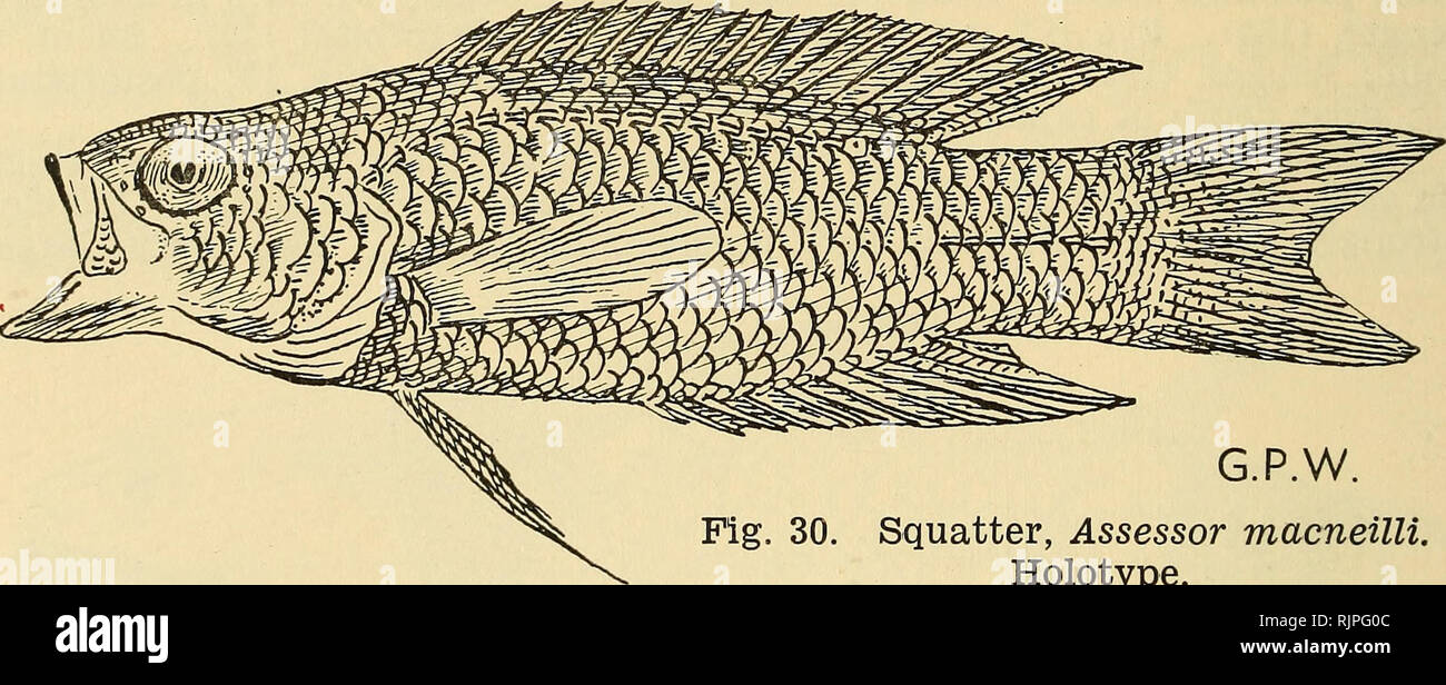 Armit island hi-res stock photography and images - Alamy