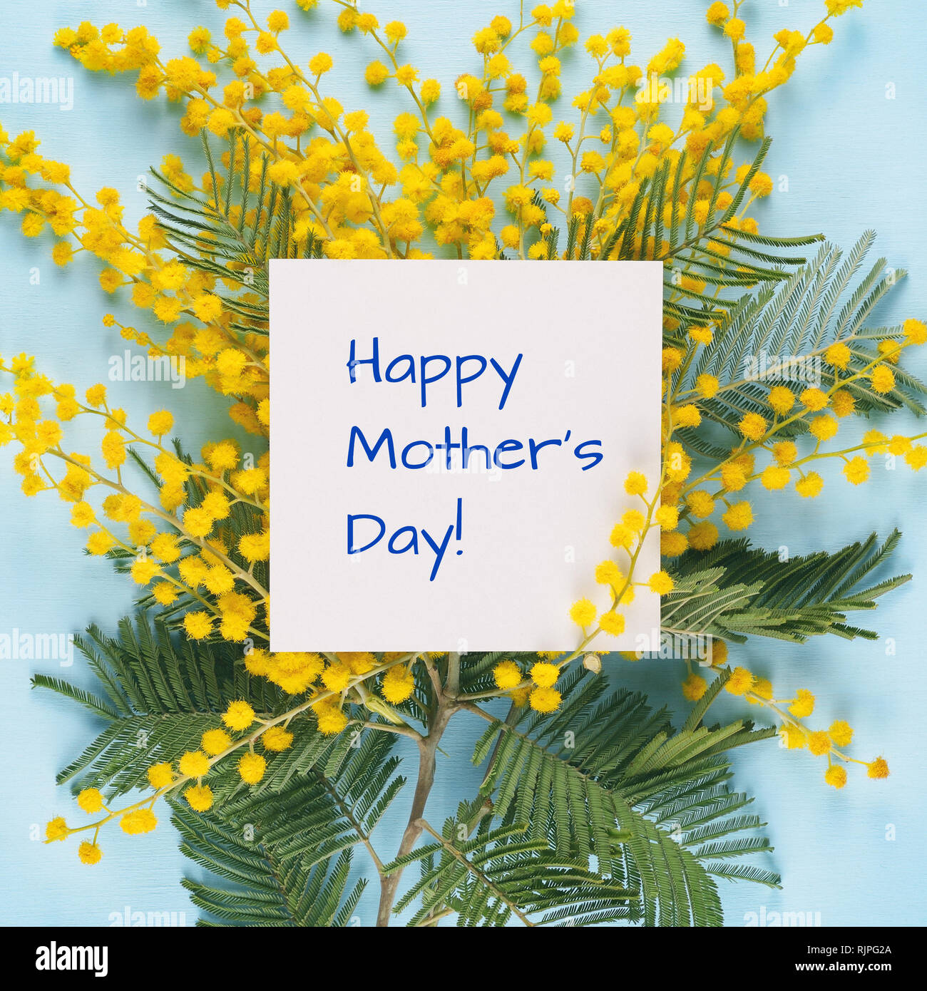 Mother's day card with mimosa flowers Stock Photo - Alamy