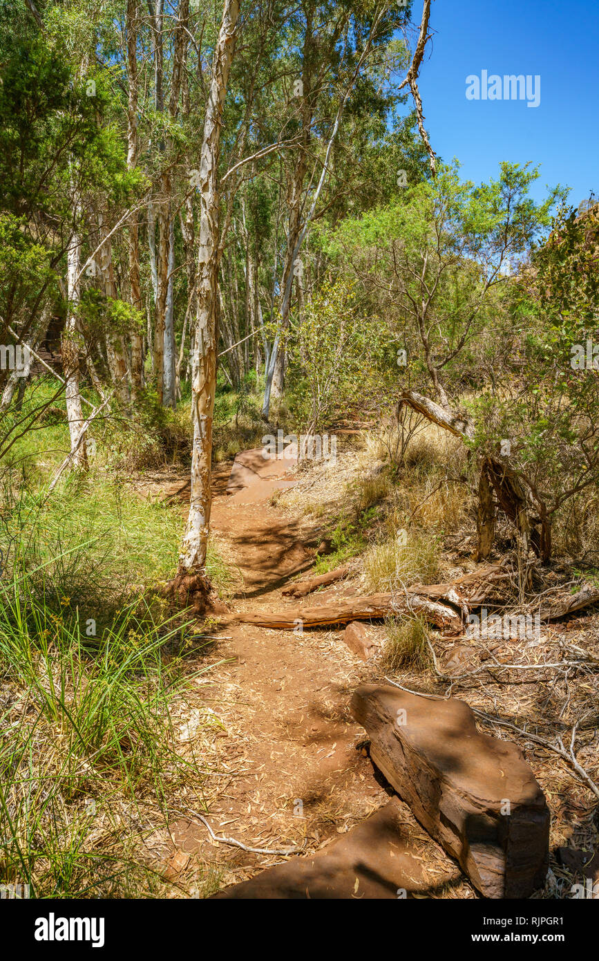 hiking over rocks in dales gorge, karijini national park, western ...