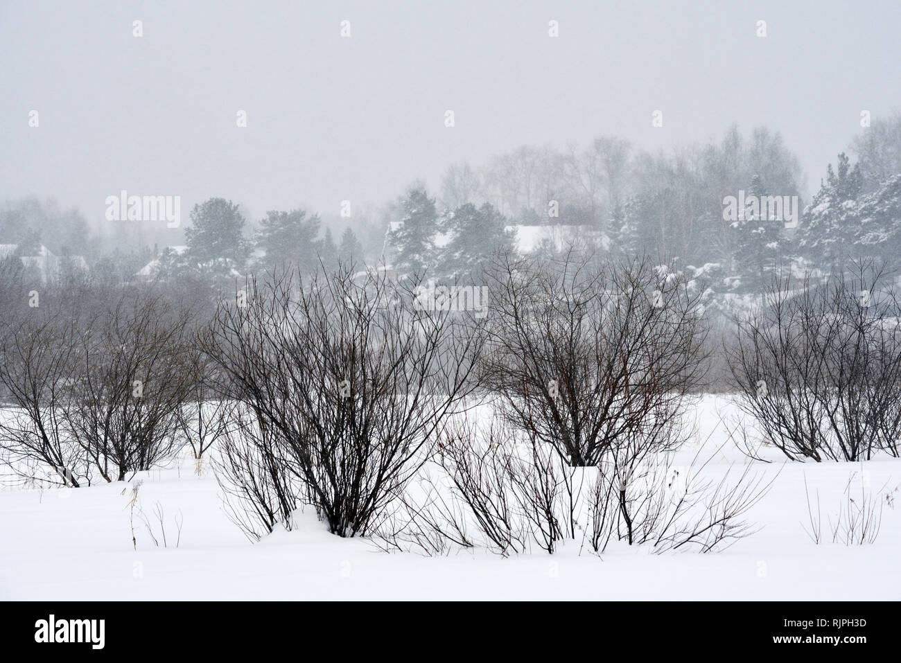 Windy blizzard of a day hi-res stock photography and images - Alamy