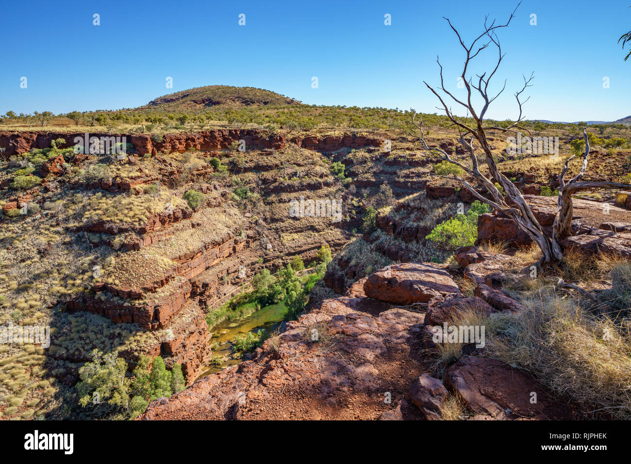 hiking the rim of dales gorge in the desert of karijini national park ...
