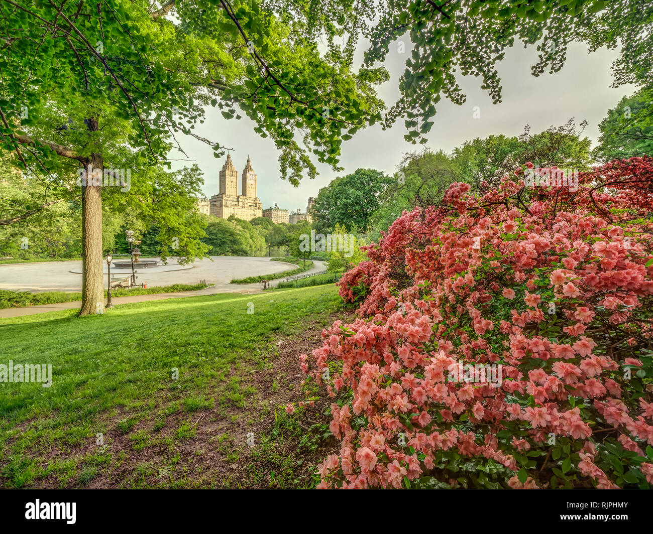 Central Park, Manhattan, New York City in spring Stock Photo - Alamy
