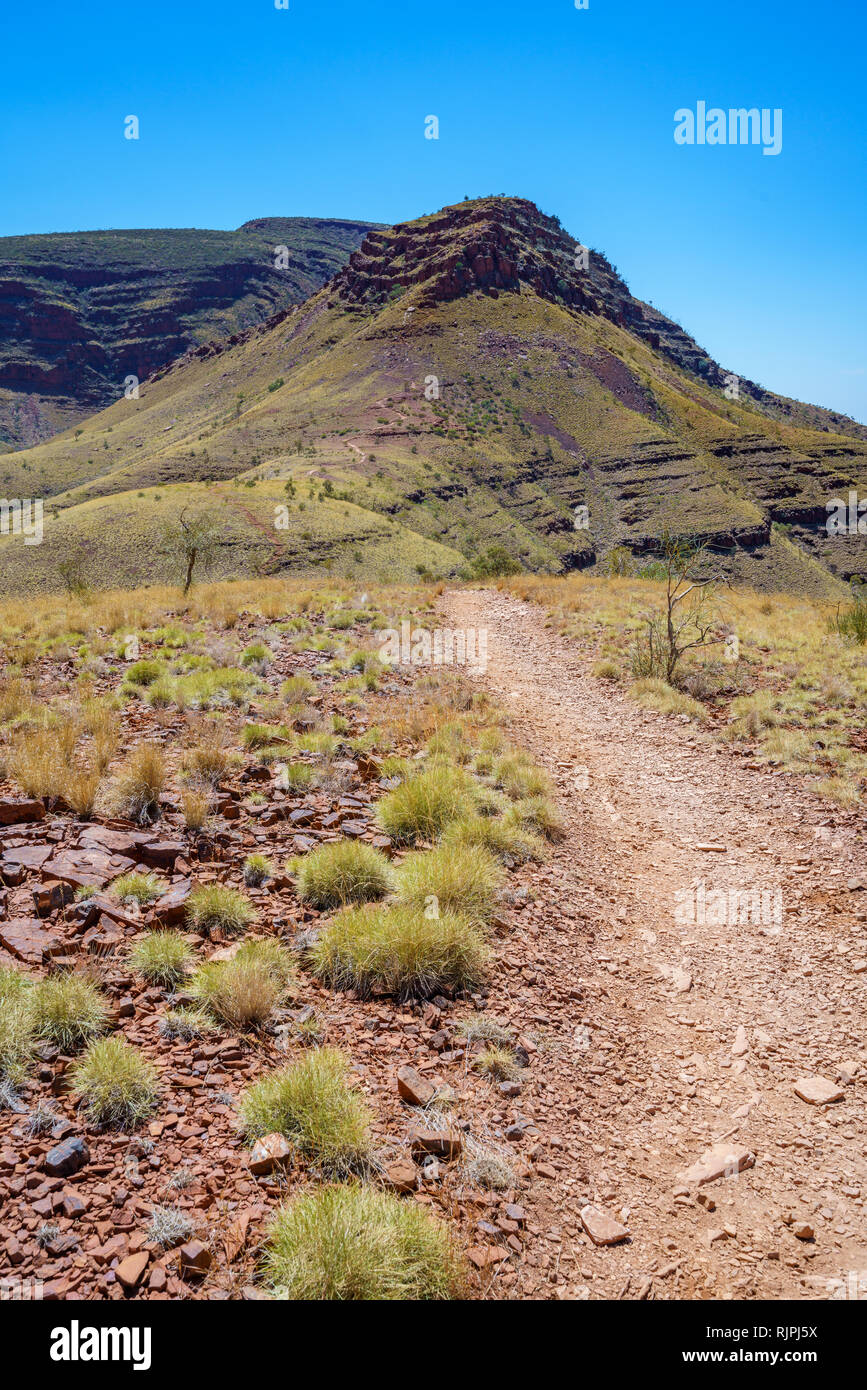 hiking on mount bruce in the desert of karijini national park, western ...