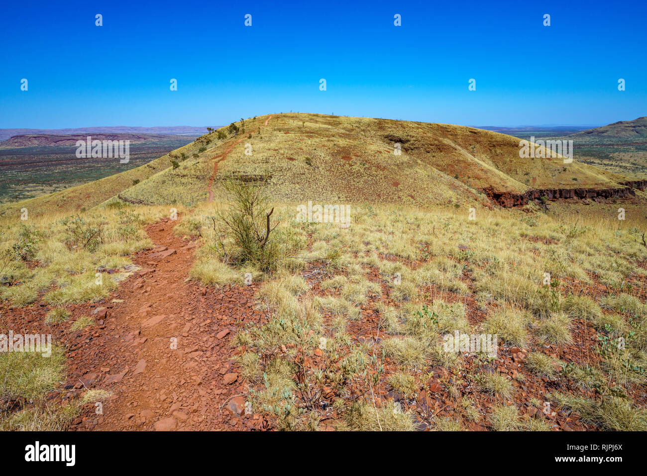 hiking on mount bruce in the desert of karijini national park, western ...
