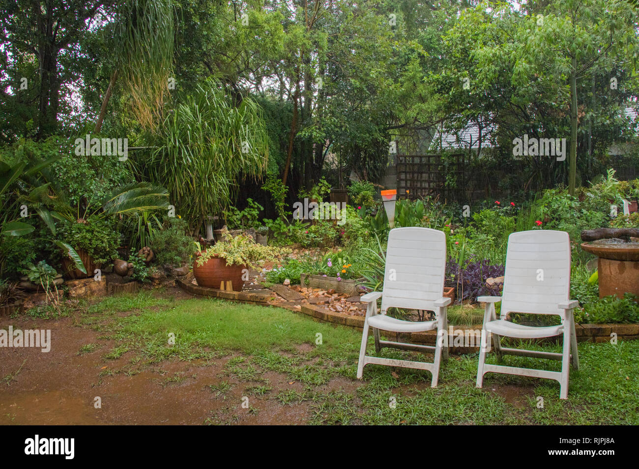 A garden wet from a summer rain storm image with copy space in ...