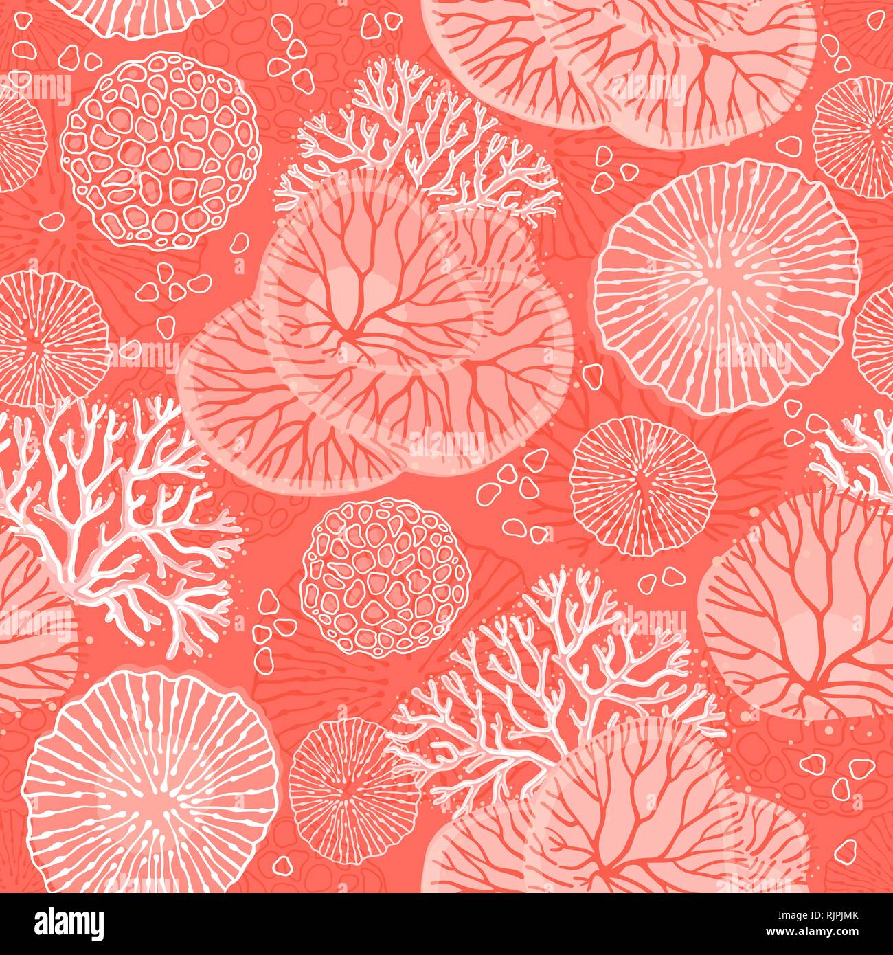Seamless pattern vector with corals Stock Vector Image & Art - Alamy