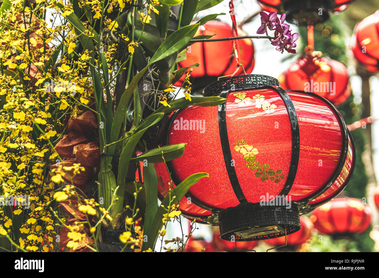 Lunar lantern hi-res stock photography and images - Alamy