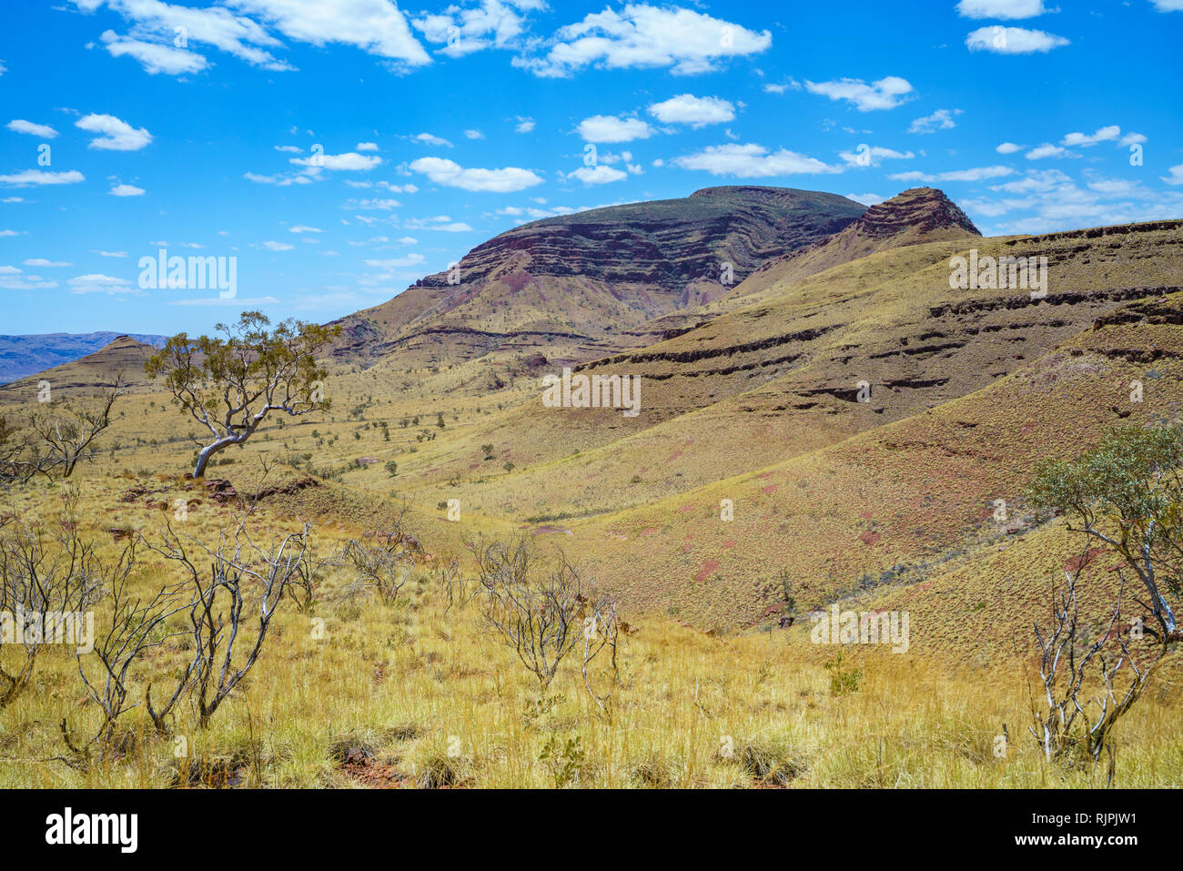 hiking on mount bruce in the desert of karijini national park, western ...