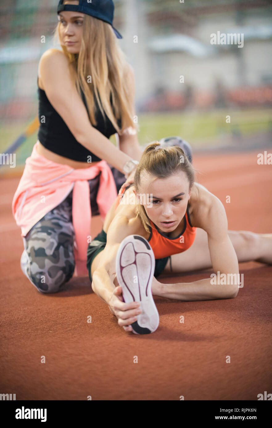 Two young athletic woman stretching in sports arena Stock Photo - Alamy