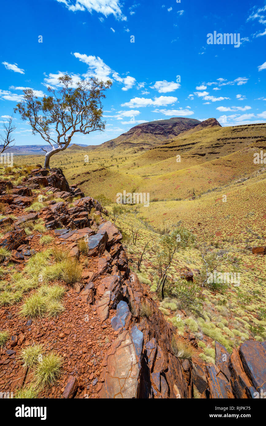 hiking on mount bruce in the desert of karijini national park, western ...