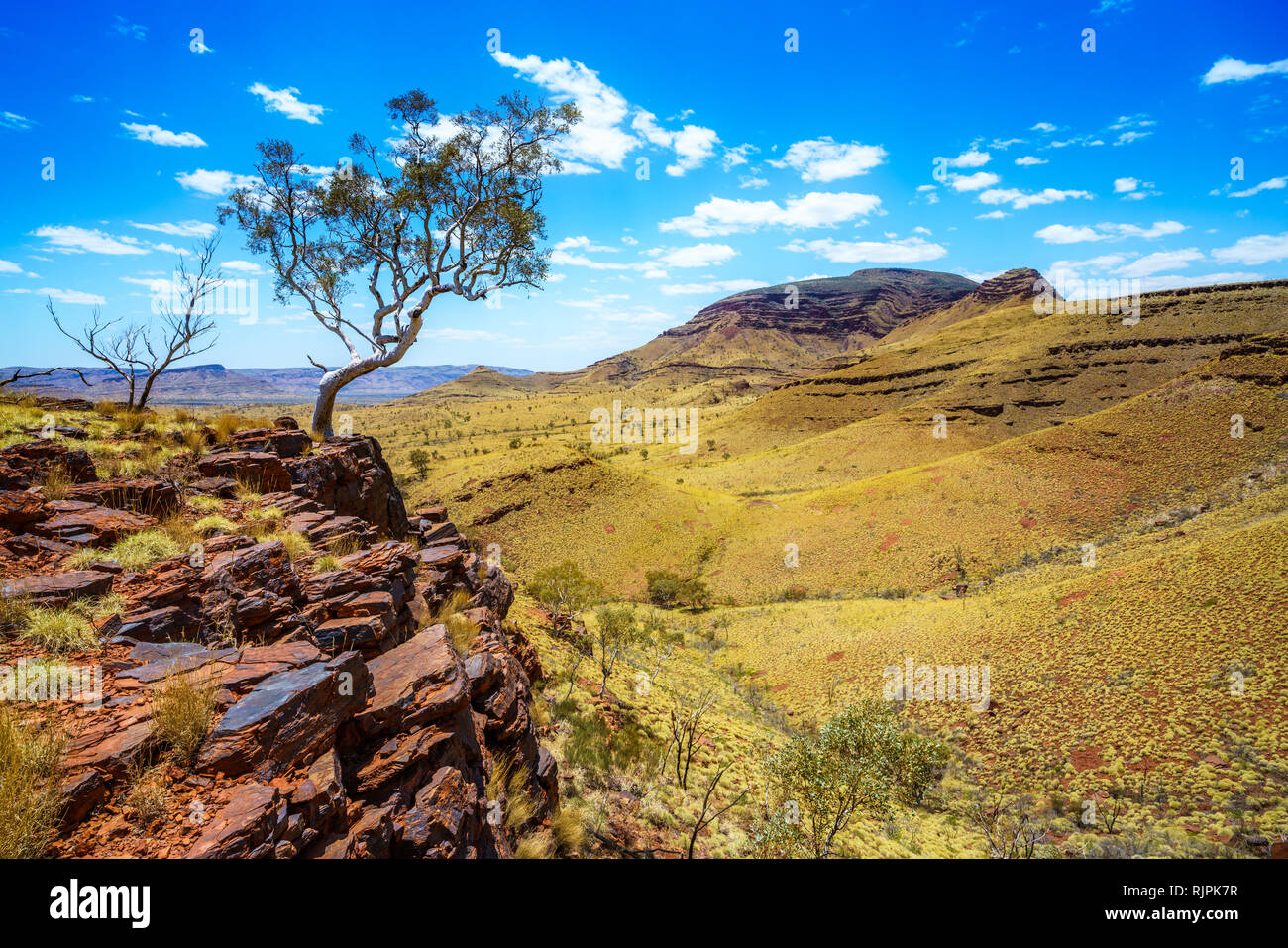 hiking on mount bruce in the desert of karijini national park, western ...