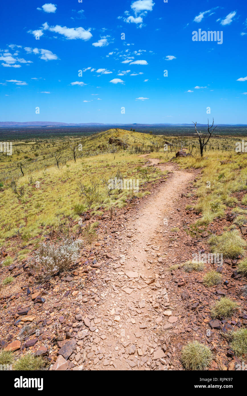 hiking on mount bruce in the desert of karijini national park, western ...