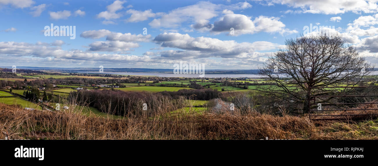 Woolaston hi-res stock photography and images - Alamy