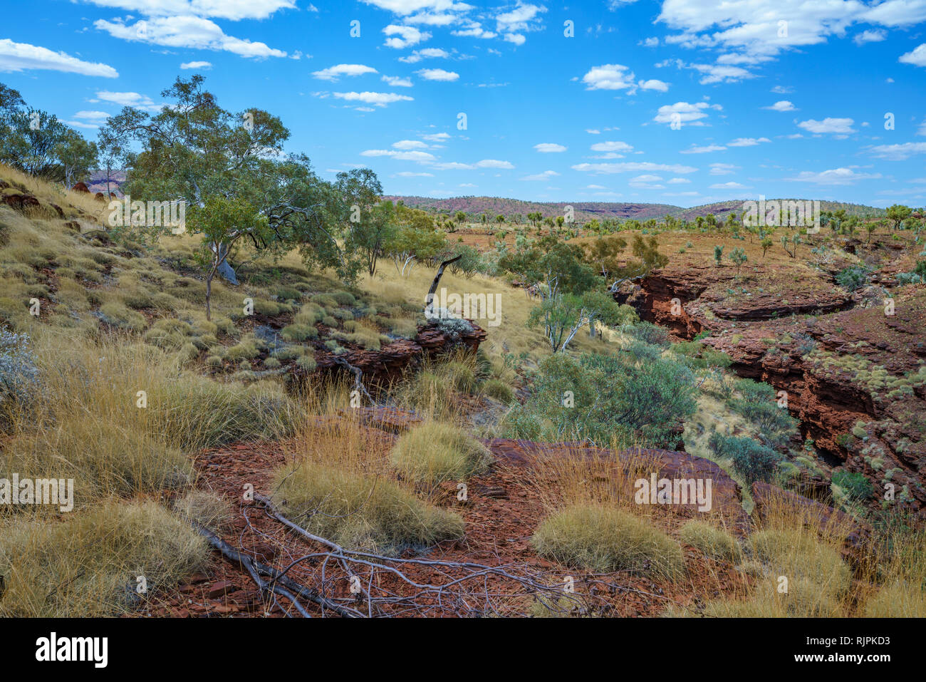 hiking at weano gorge rim in the desert of karijini national park ...