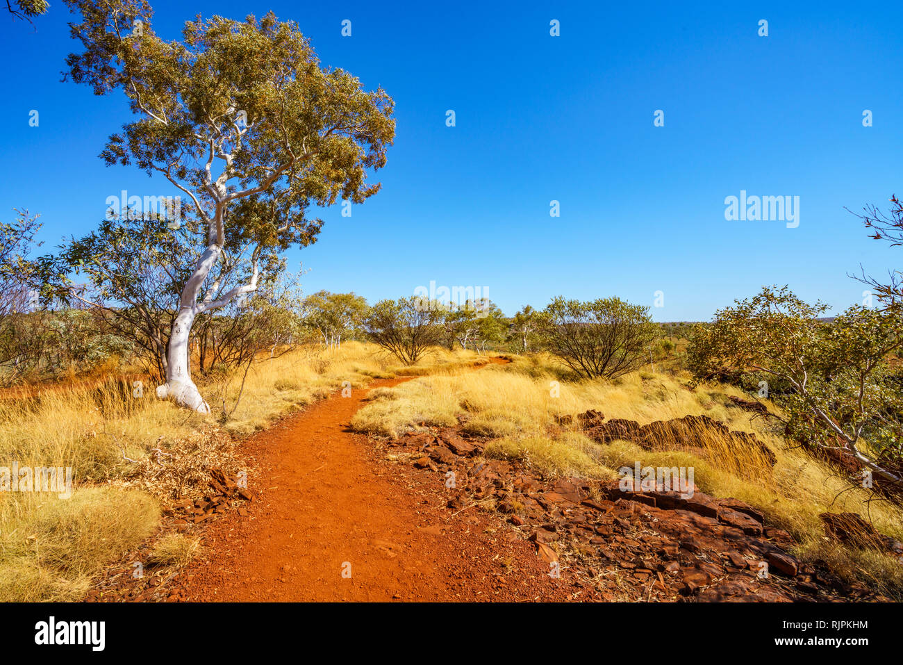 hiking at the rim of weano gorge in the desert of karijini national ...