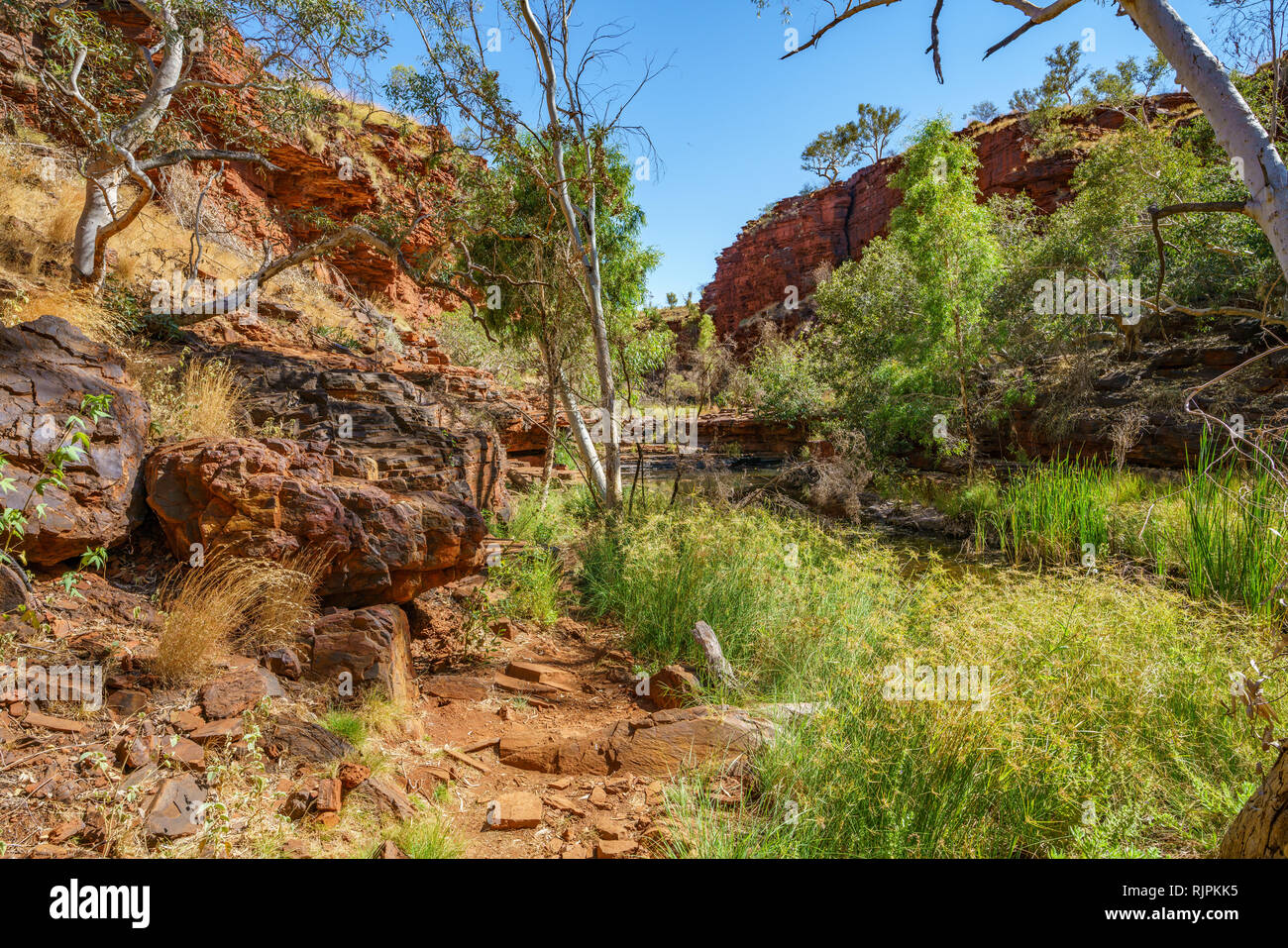 hiking down in the deep and narrow weano gorge in karijini national ...