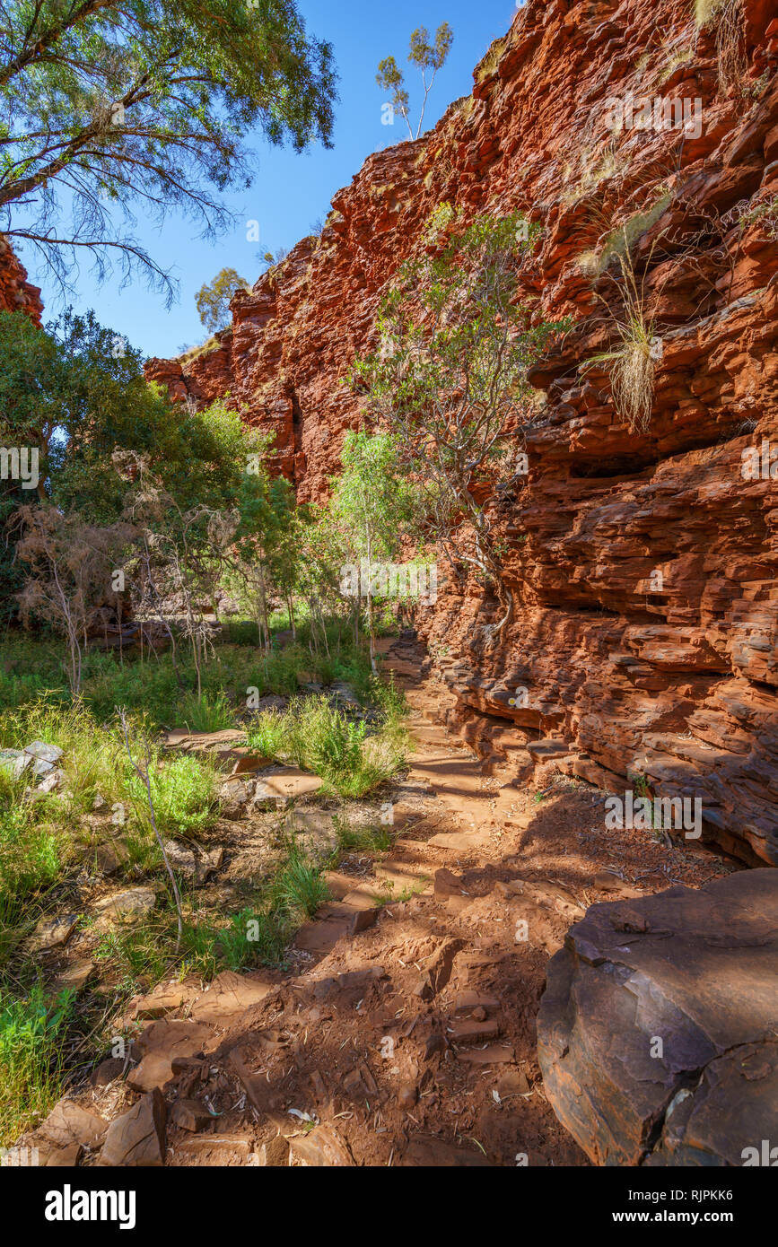 hiking down in the deep and narrow weano gorge in karijini national ...
